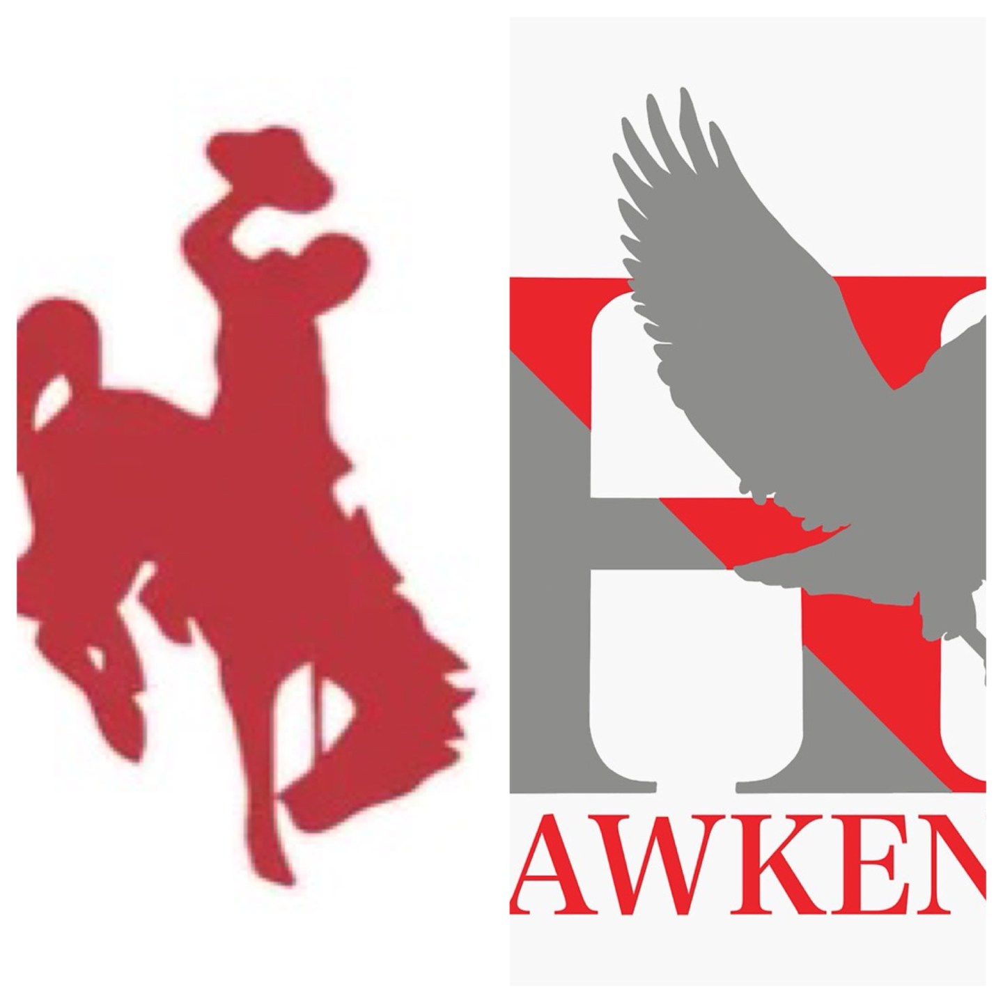 VIDEO: OHSAA Boys DIII Region 9 Regional Semifinal Chaney vs Hawken ...